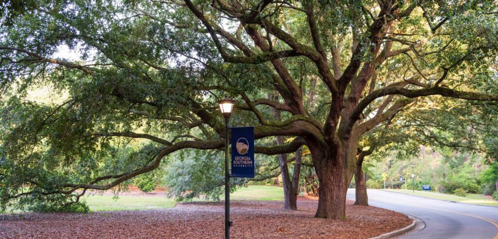 Georgia Southern Alumni Chapters & Networks - Georgia Southern ...